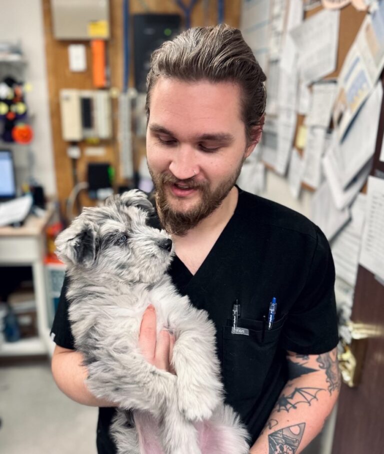 Dr. Patrick Dunleavy | Scarborough Animal Hospital